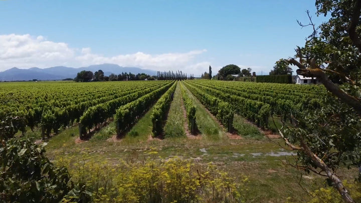 About Us – Holdaway Estate